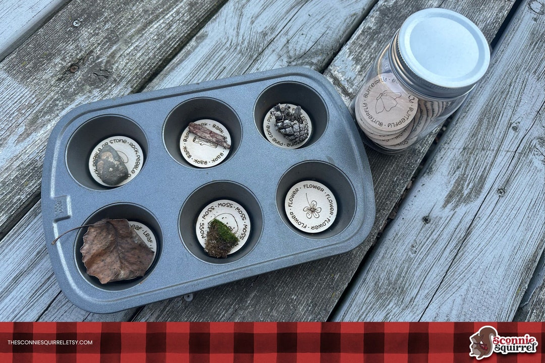 Nature Scavenger Hunt Tokens, Montessori Kids Activity, Nature ...