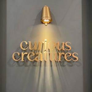 Floating Metal Letters, Business Logo Sign, Beauty Spa Sign, Cafe Sign ...