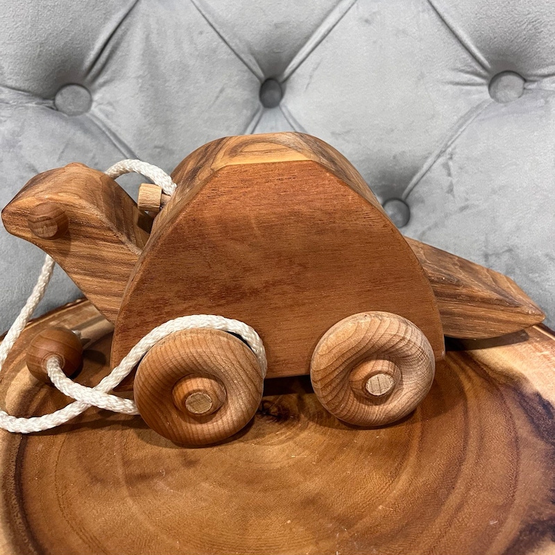 Turtle Pull Toy - Etsy