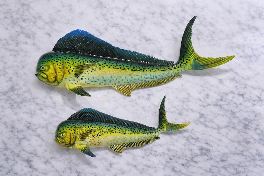 Mahi Mahi Wall Art Set Tropical Dolphin Fish Coastal Decor Florida ...