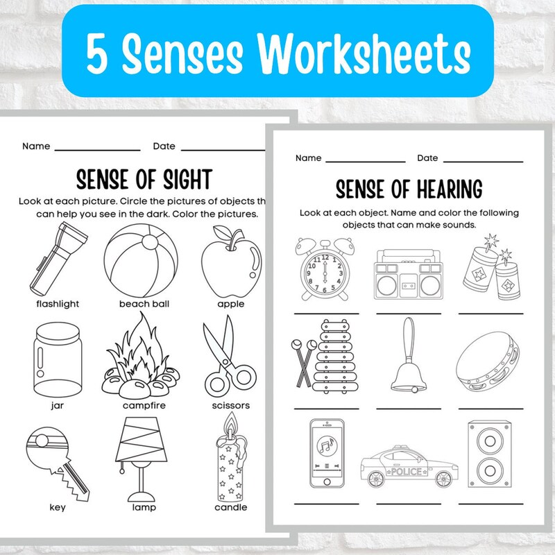 Five Senses Preschool - Etsy
