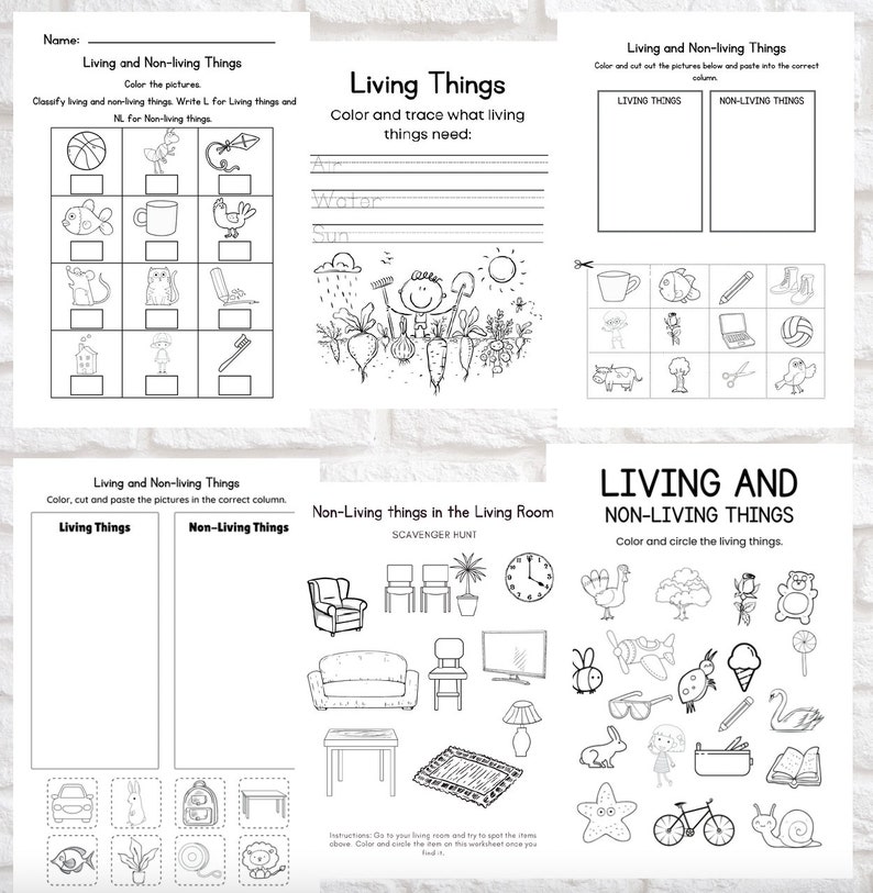 Science Living & Non-living Worksheets, Sorting, Colouring, Tracing ...