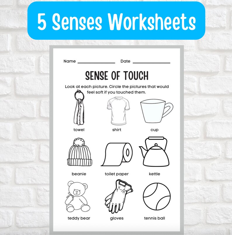 Five Senses Worksheets, My Five Senses Coloring Pages & Activities for ...