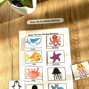 Sea Animal Shadow Matching Game Under the Sea Activity for Preschool ...
