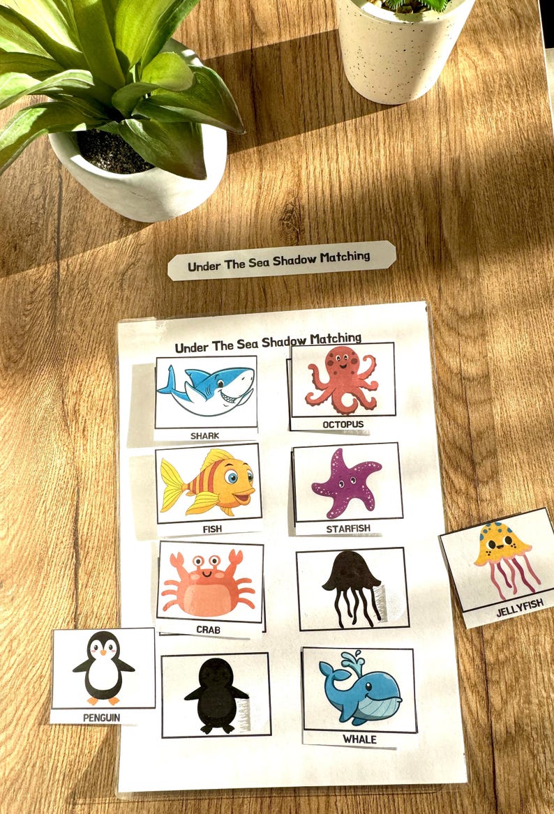 Sea Animal Shadow Matching Game Under the Sea Activity for Preschool ...