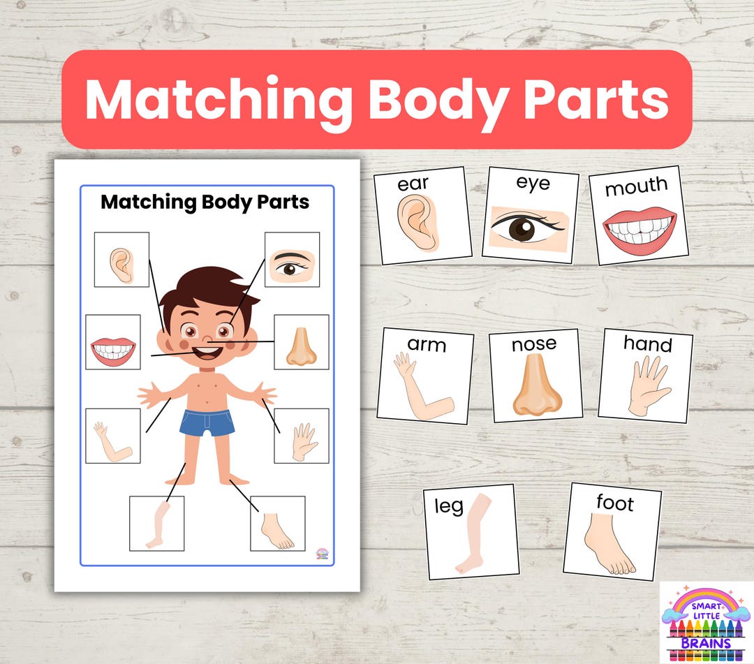 Matching Body Parts Game Montessori Activity Identifying Body Parts ...