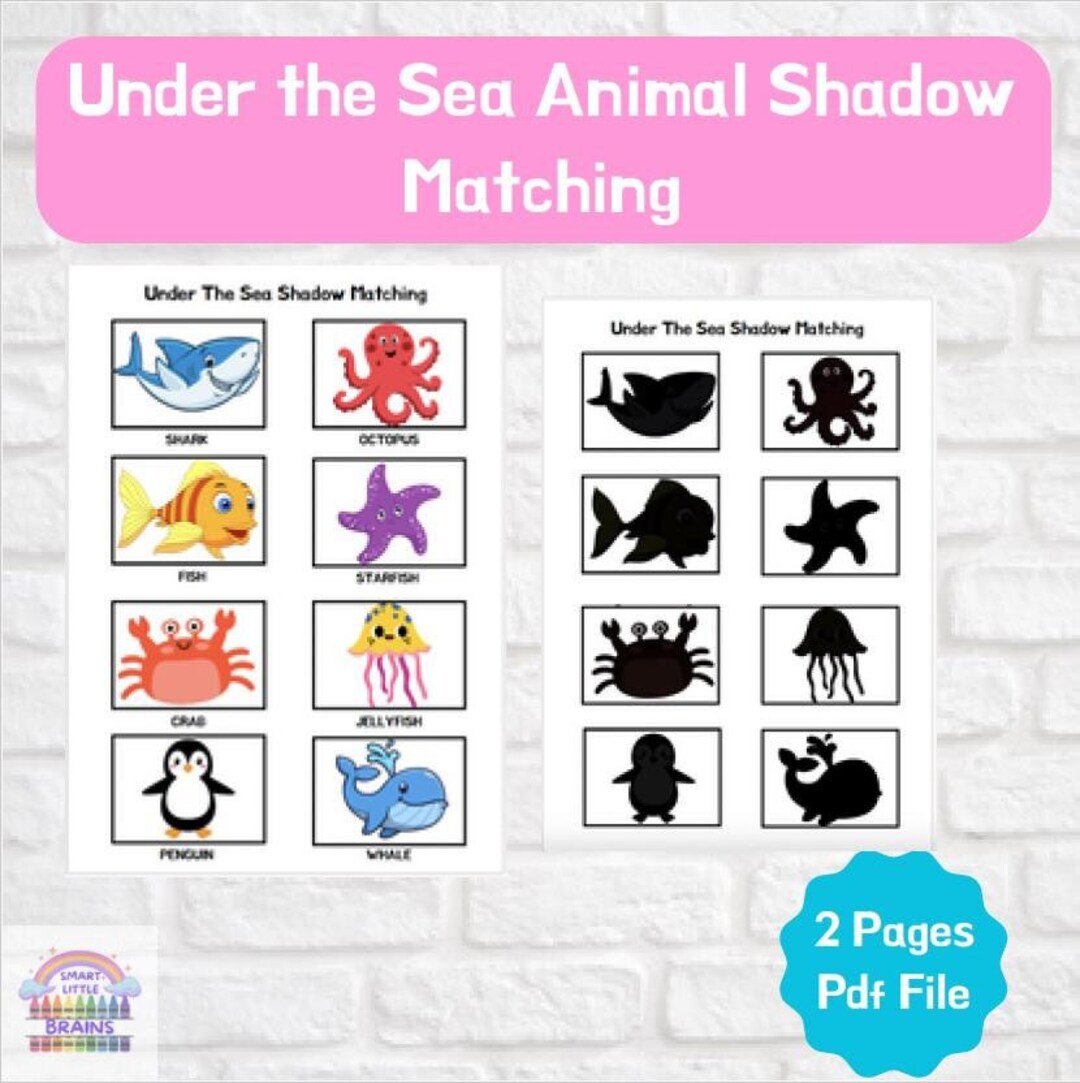Sea Animal Shadow Matching Game,fun Under the Sea Activity for ...