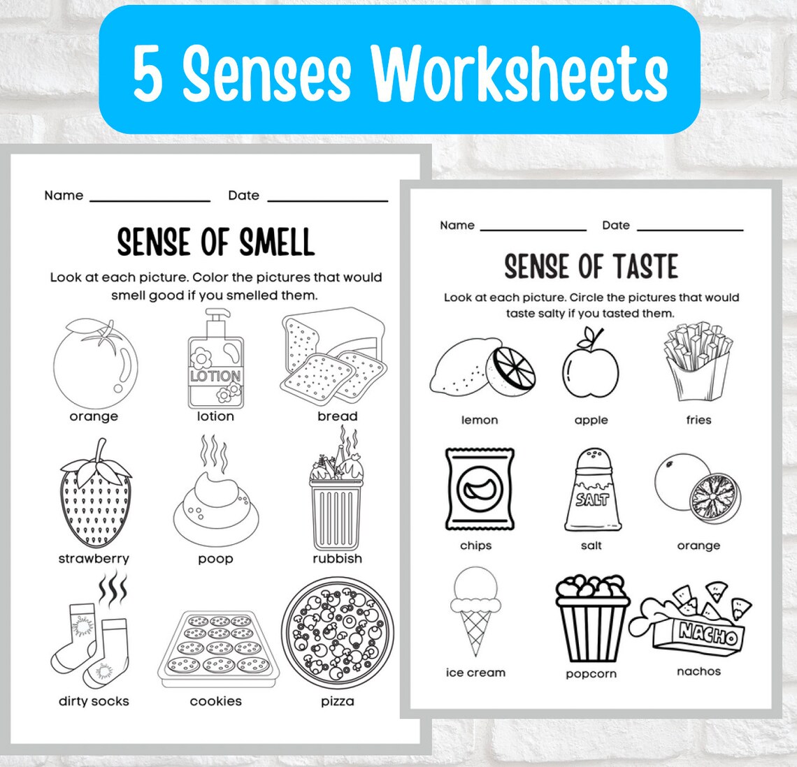 Five Senses Worksheets, My Five Senses Coloring Pages & Activities for ...