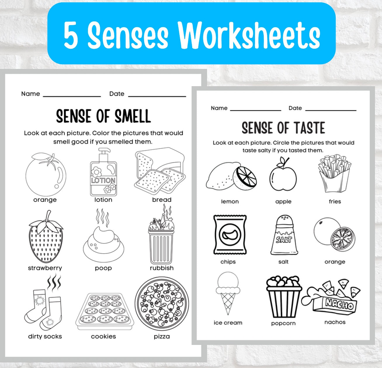 Five Senses Worksheets, My Five Senses Coloring Pages & Activities for ...