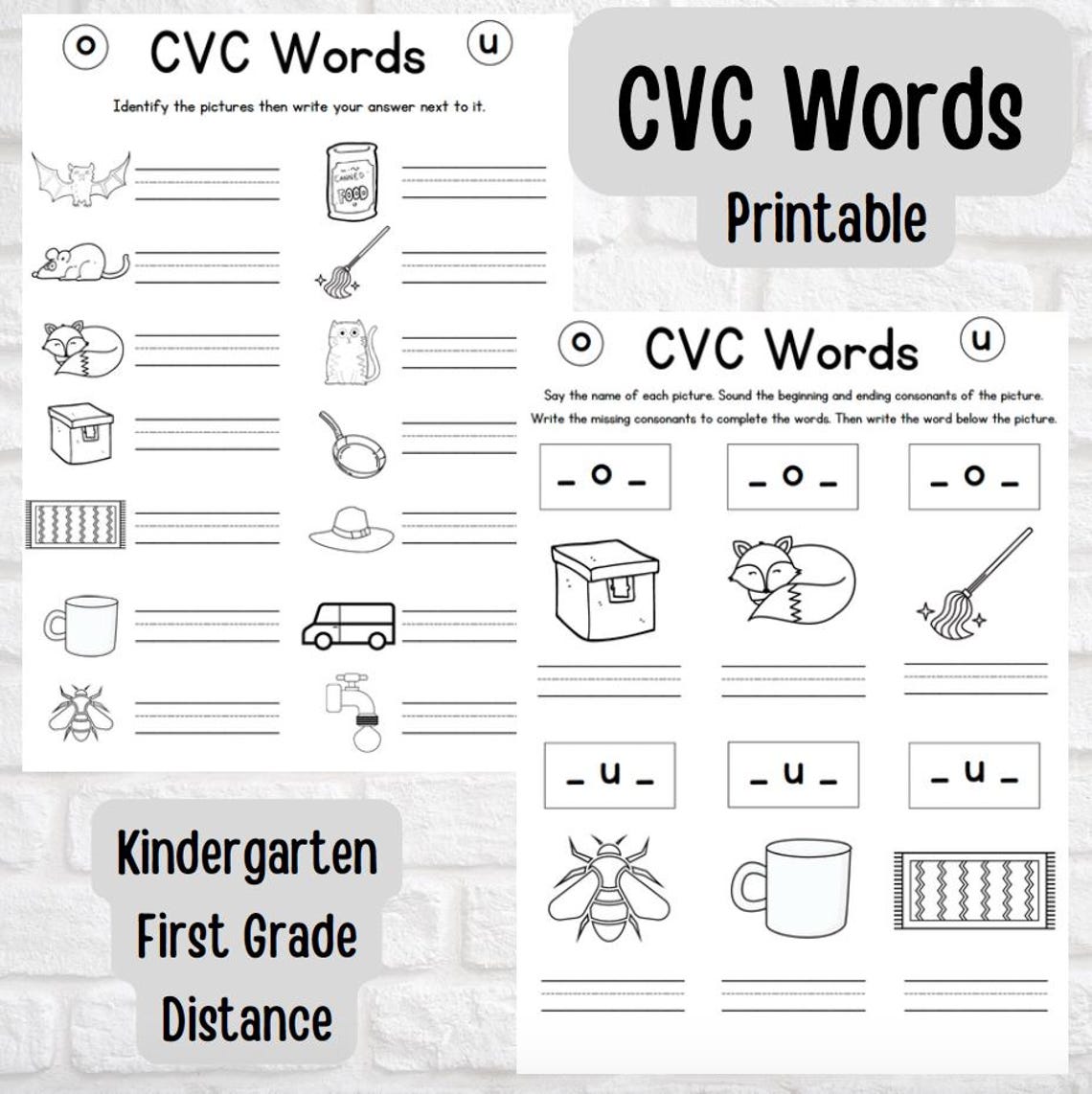 Kindergarten & Grade 1 CVC Words Worksheets,phonics, Word Families ...