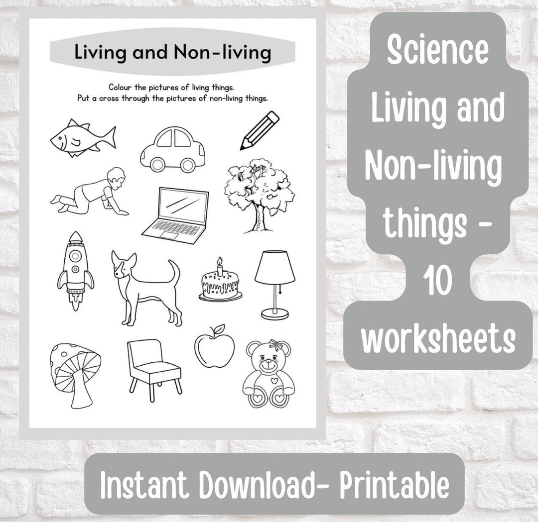 Science Living & Non-living Worksheets, Sorting, Colouring, Tracing ...