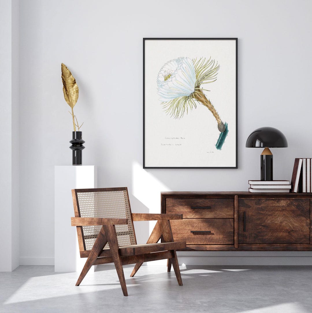 Snake Cactus Flower-botanical-illustration-interiors-poster-home Wall ...