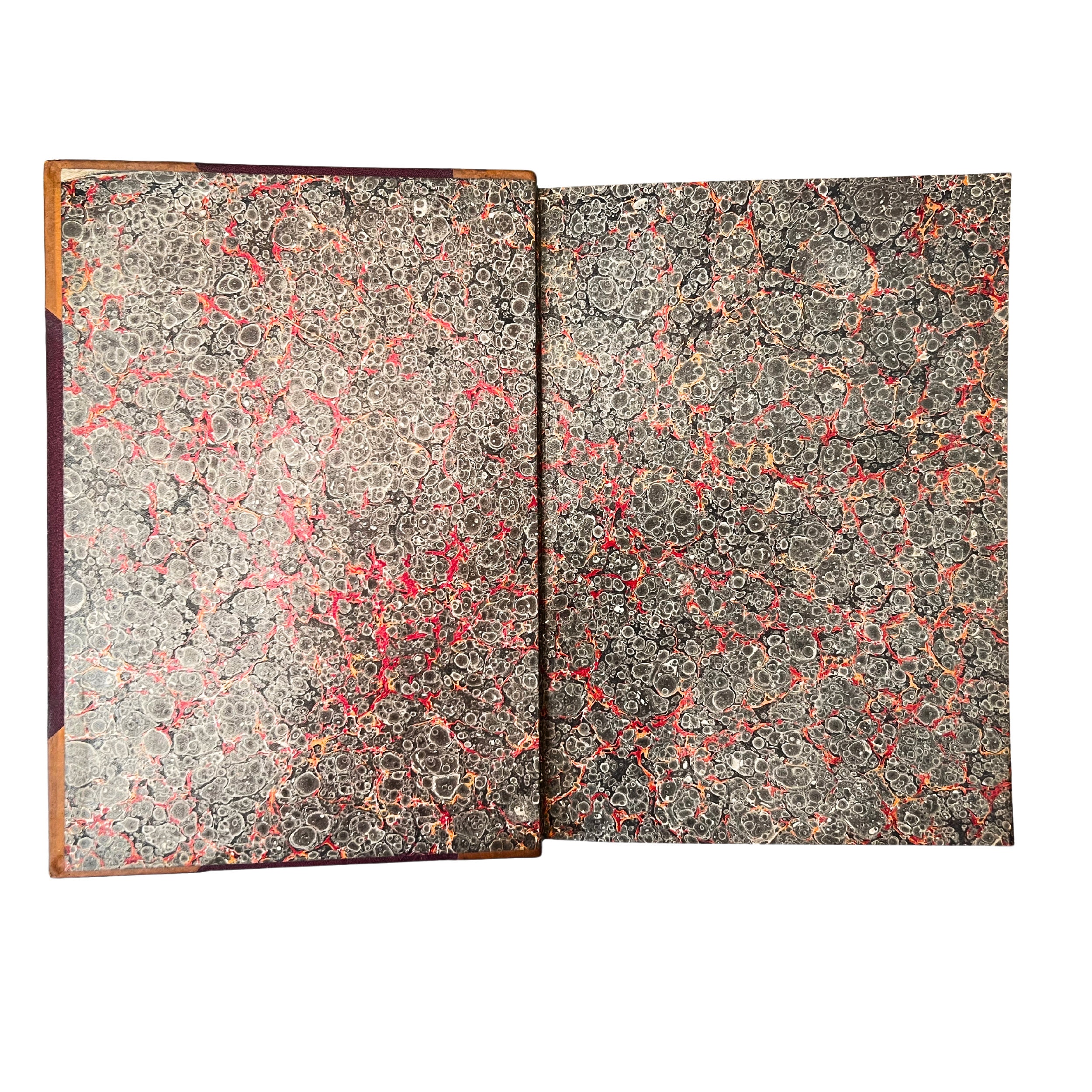 1865 the Book of Days Vol.1 and Vol.2, A Miscellany of Popular ...