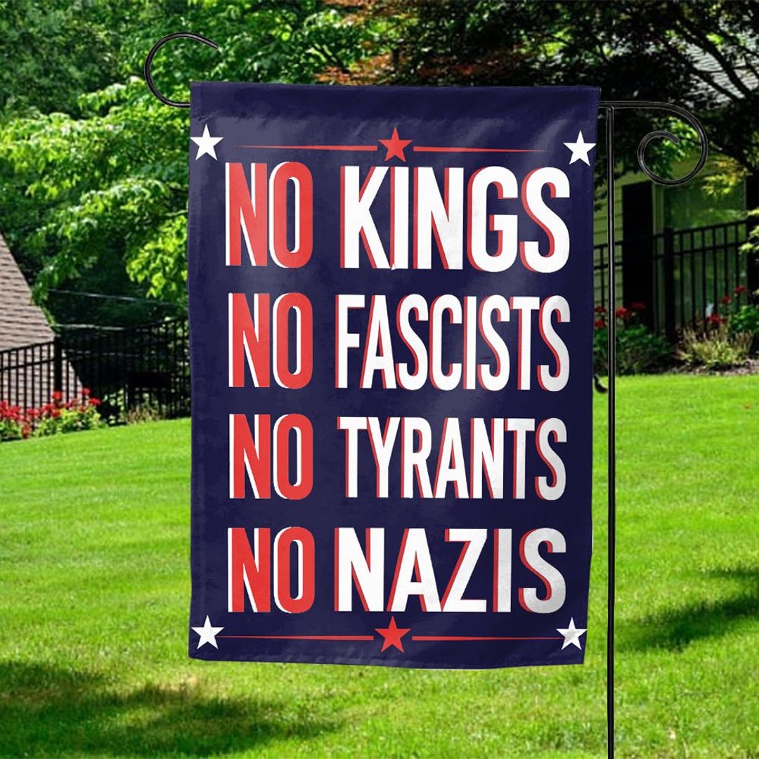 No Kings in America Flag, Anti-trump, Protest Flag, Democracy Flag ...