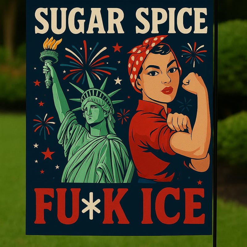 Ice Spice Flag - Etsy