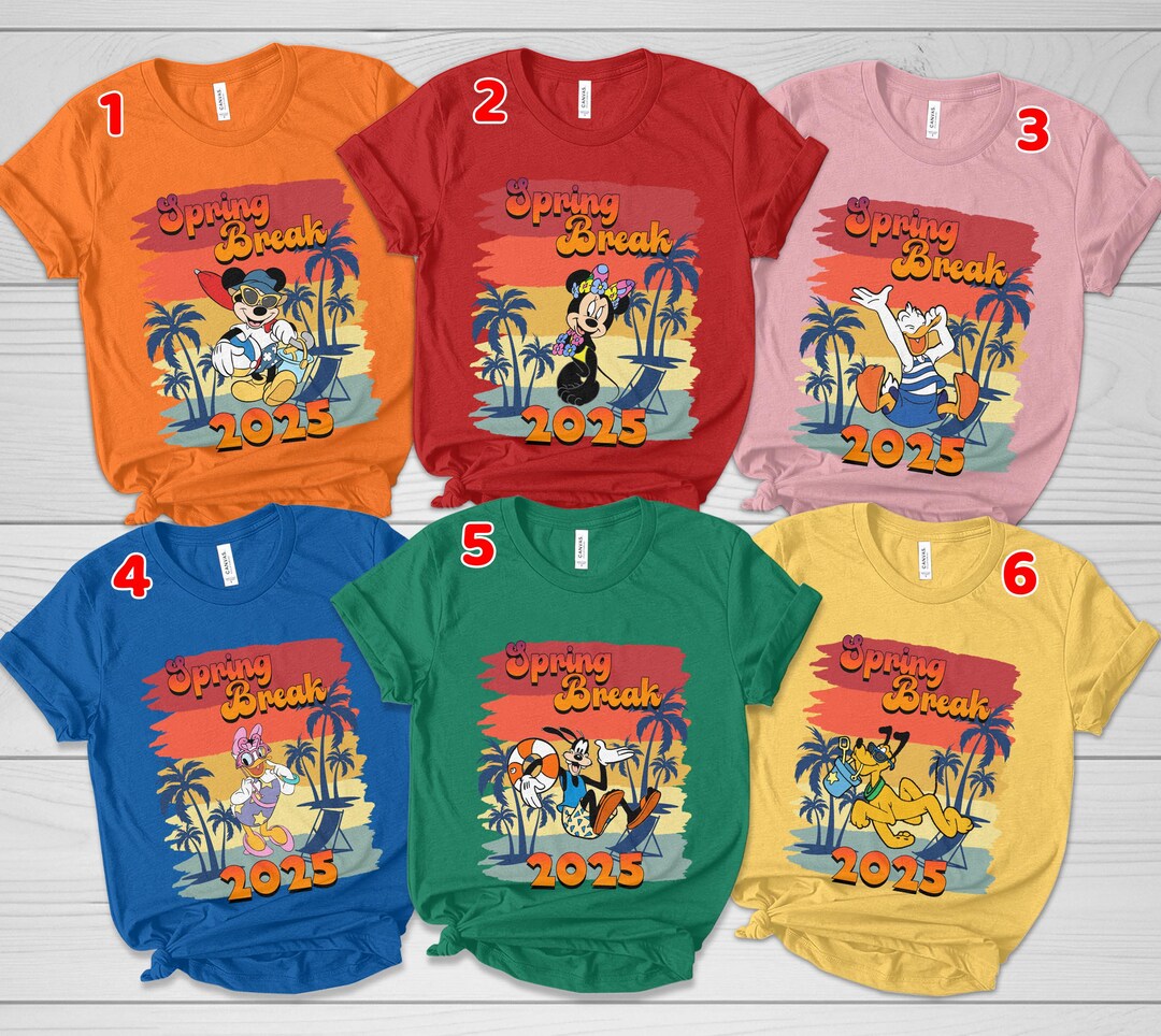Vintage Disney Spring Break 2026 Shirt/retro Mickey and Friends Spring ...