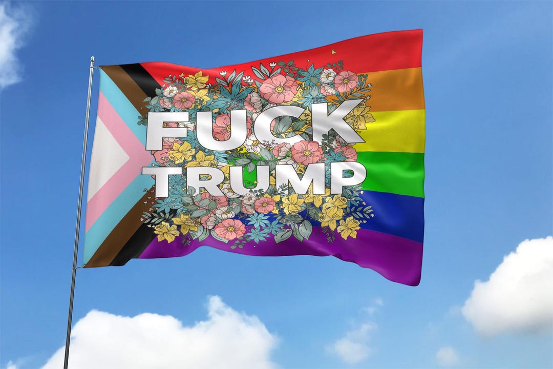 FDT Anti Trump LGBTQ+ House Flag, No Trump, Vote 2025, FDT, Funny ...