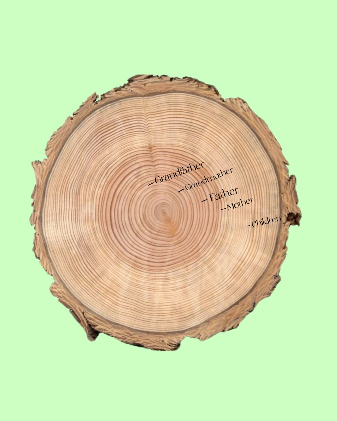 Growth Ring Timelines. Let the Tree Tell the Story! - Etsy