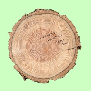Growth Ring Timelines. Let the Tree Tell the Story! - Etsy