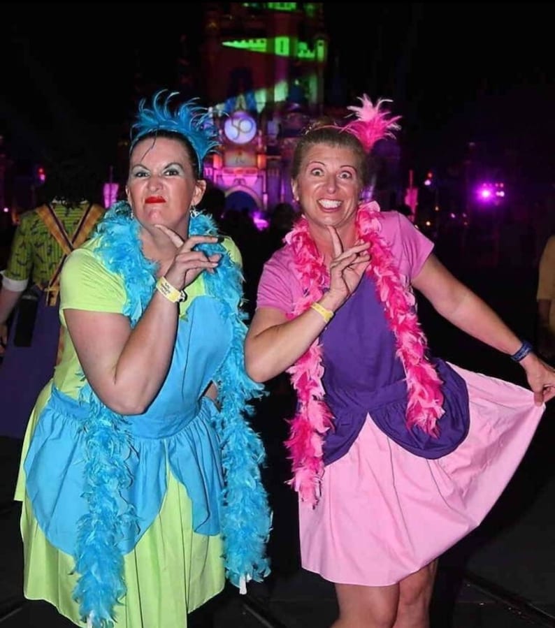 Cinderella Stepsister Costume Aprons Drizella Costume Apron Etsy