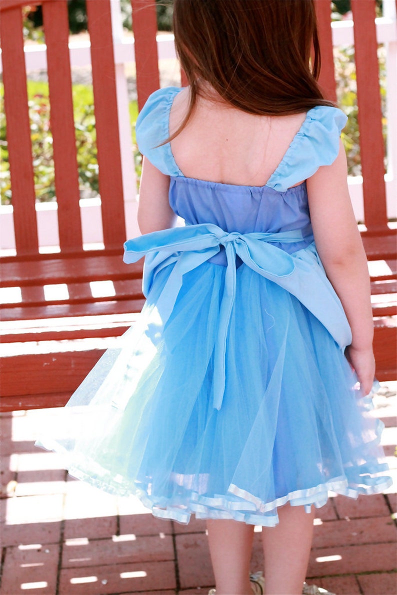 CINDERELLA Dress Princess Dress With TUTU Dress Costume - Etsy