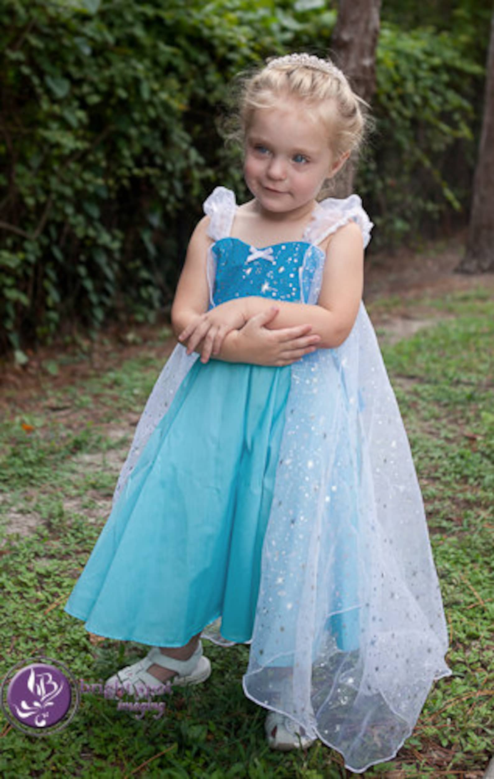 Elsa Dress, Elsa Costume, Princess Dress, Frozen Birthday Party Dress ...