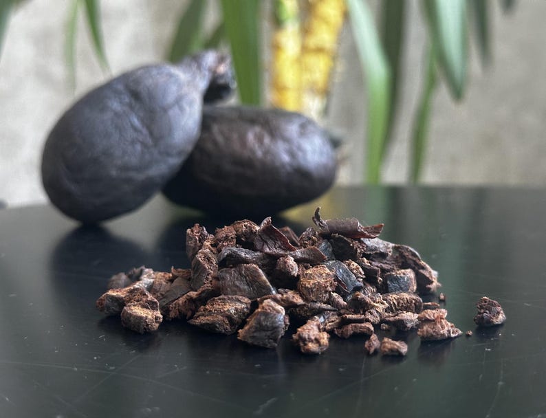 Full Dry Castoreum Grains Pure Authentic - Etsy