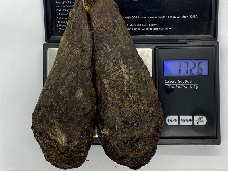 Whole Unopened Castoreum Dried Glands - Etsy Canada