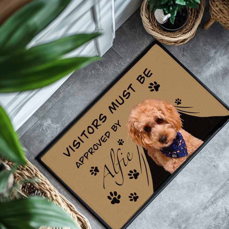 Cat Door Mat - Etsy