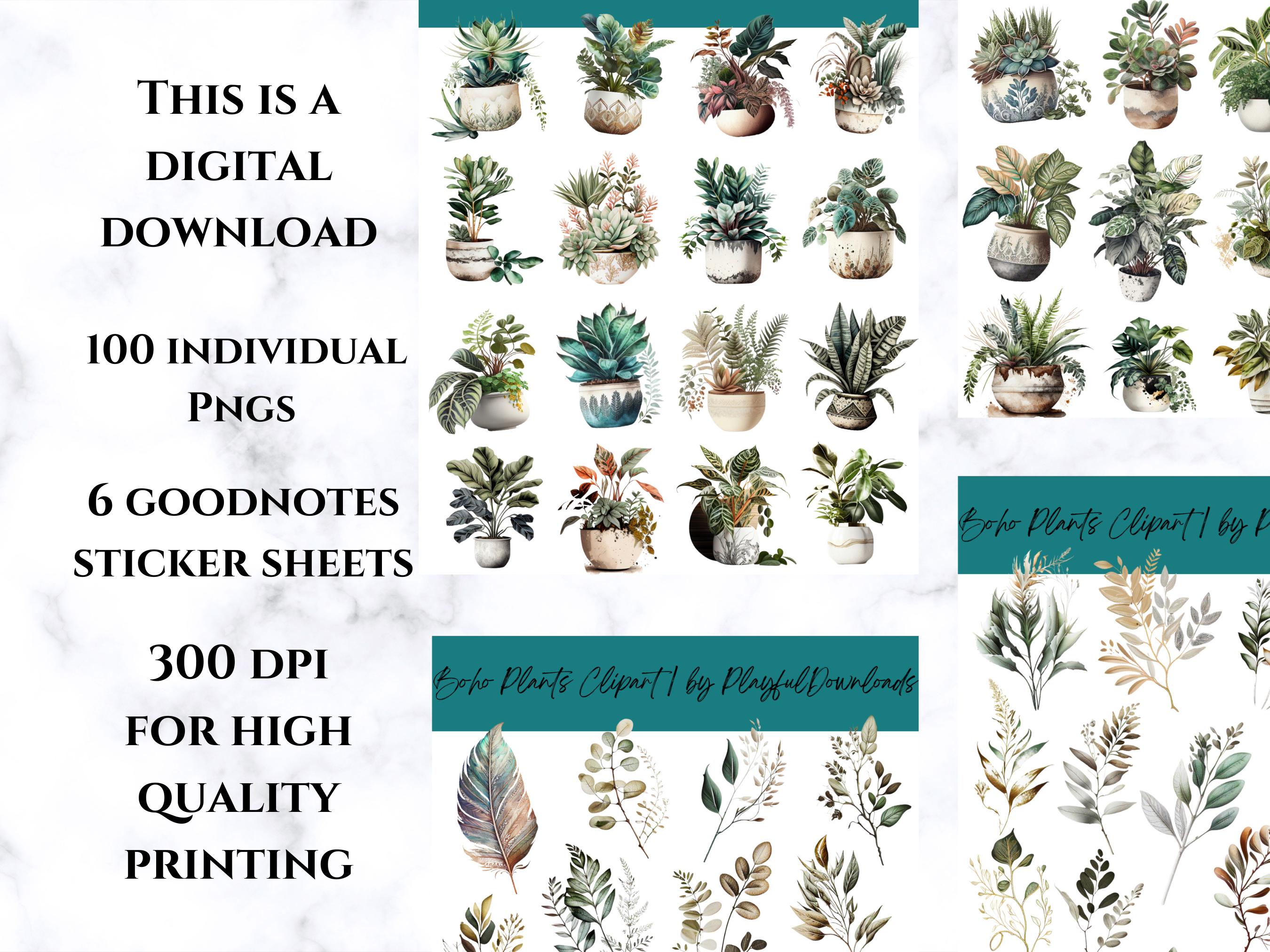Boho Plants Clipart: 100 PNG Graphics, Goodnotes Stickers (digital ...