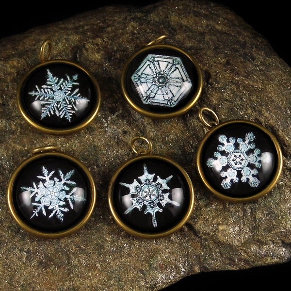 Preserved Snowflakes - Etsy