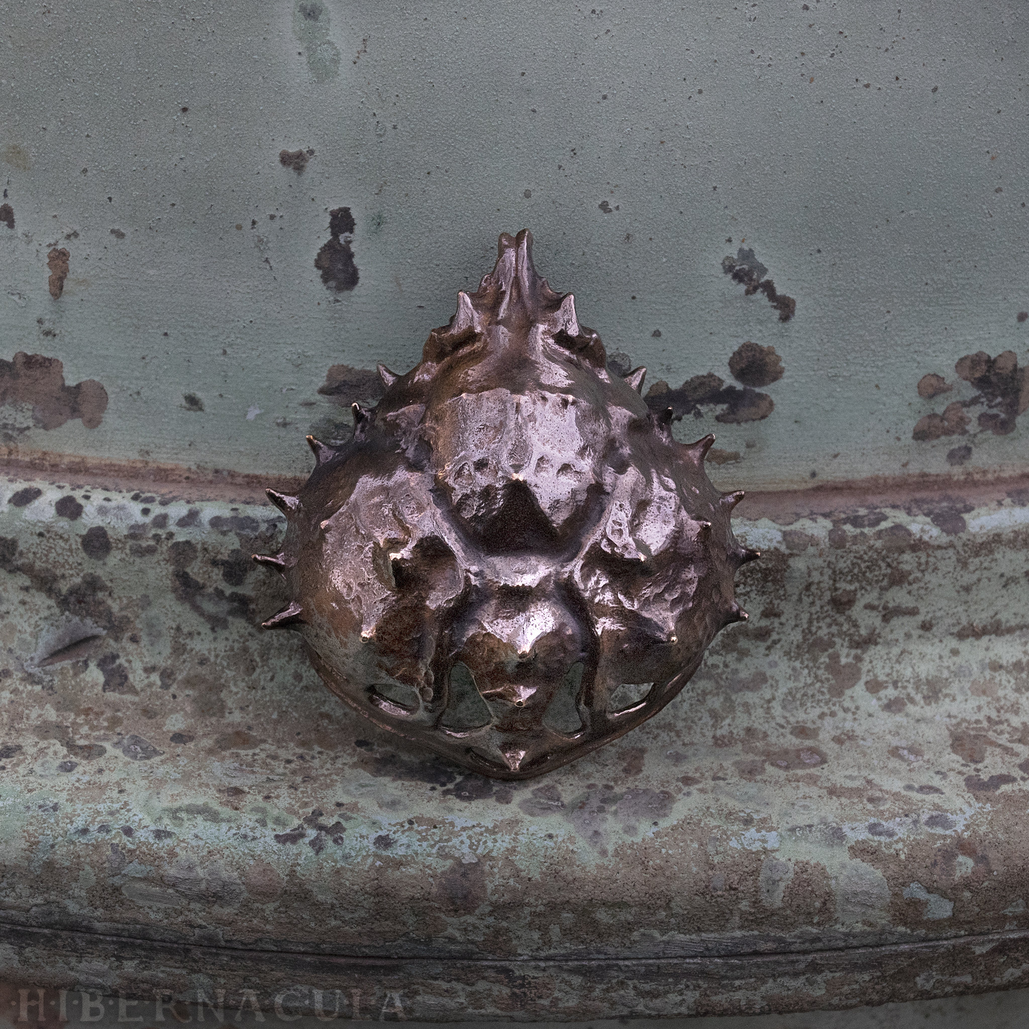 Armor -- Spider Crab Shell Pendant or Necklace in Bronze or Silver - Etsy