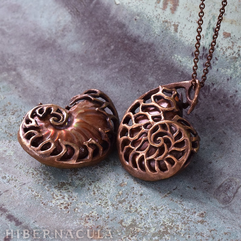 Ammonite Reliquary Fossil Red Opal Ammonite in Bronze or - Etsy