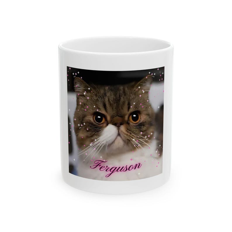 Ferguson New Girl Ceramic Mug - Ferguson the Cat Winston Bishop Winnie ...