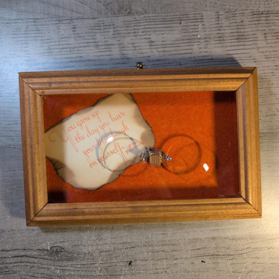 Antique Victorian Era Bifocal Nose Pinch Glasses With Shadow Box ...