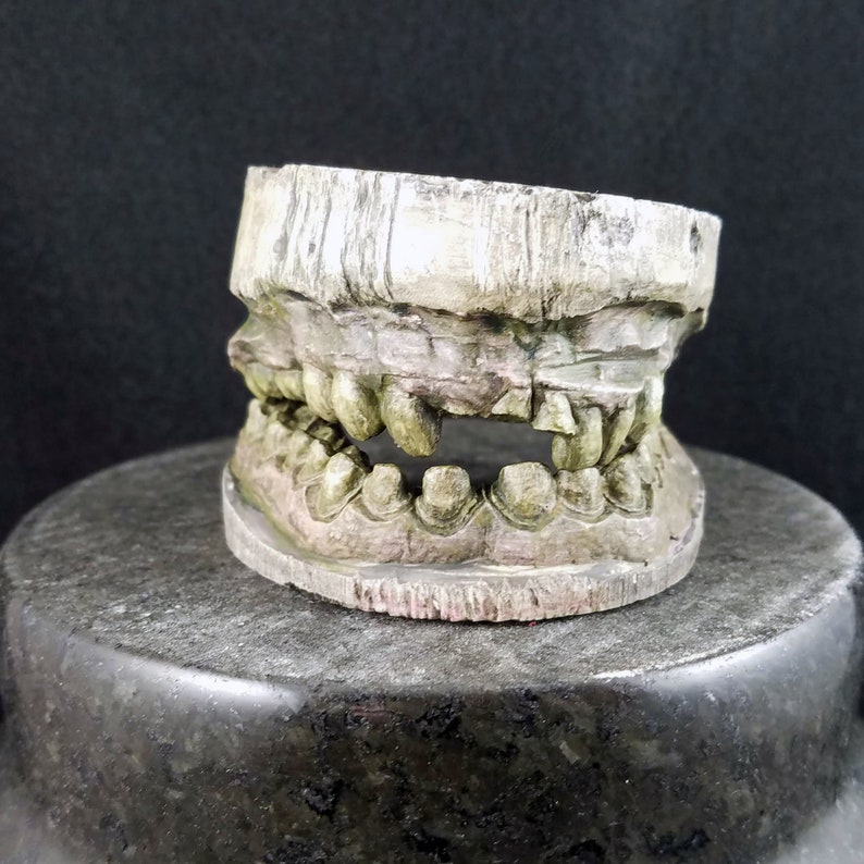 Zombie Dentition Specimen Zombie Teeth Zombie Taxidermy Faux Taxidermy ...