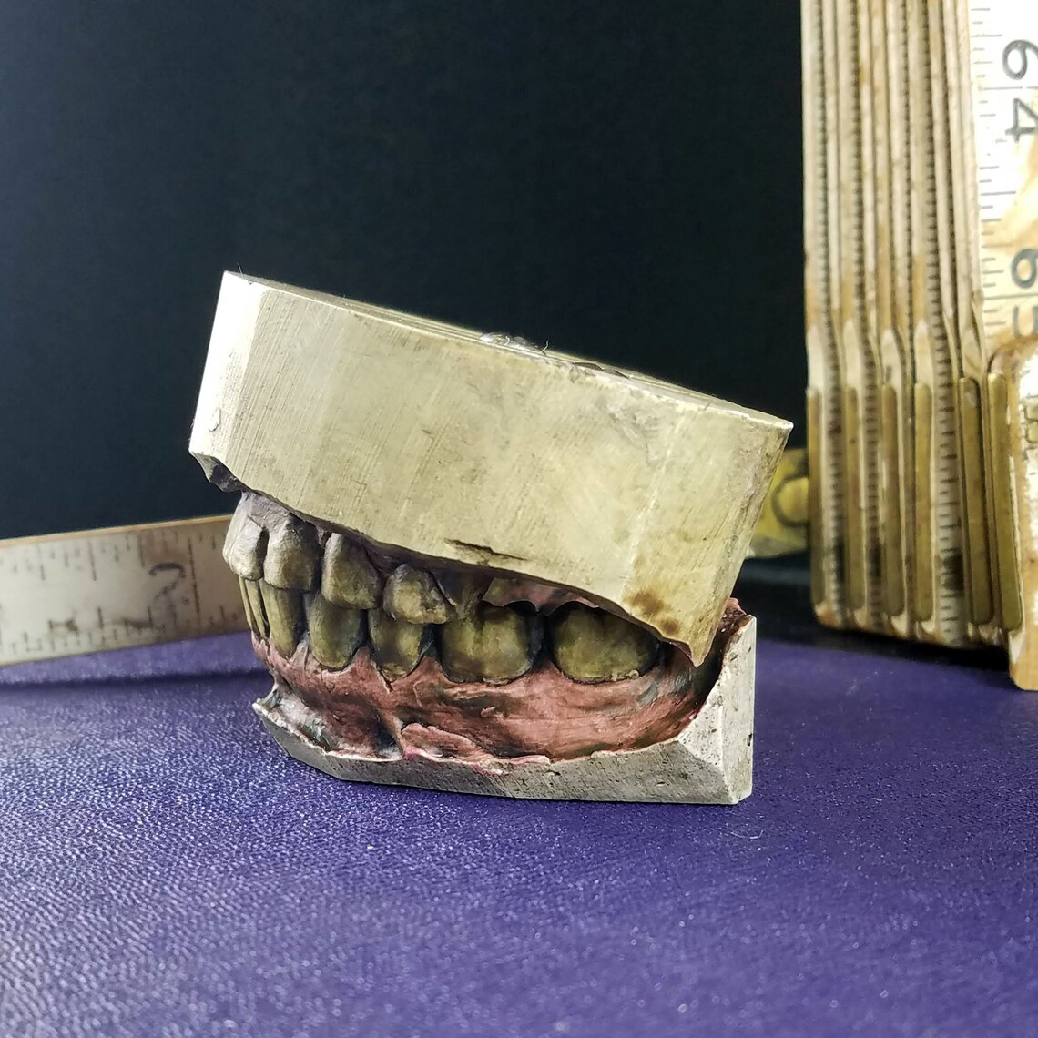 Zombie Dentition Specimen Zombie Teeth Zombie Taxidermy - Etsy