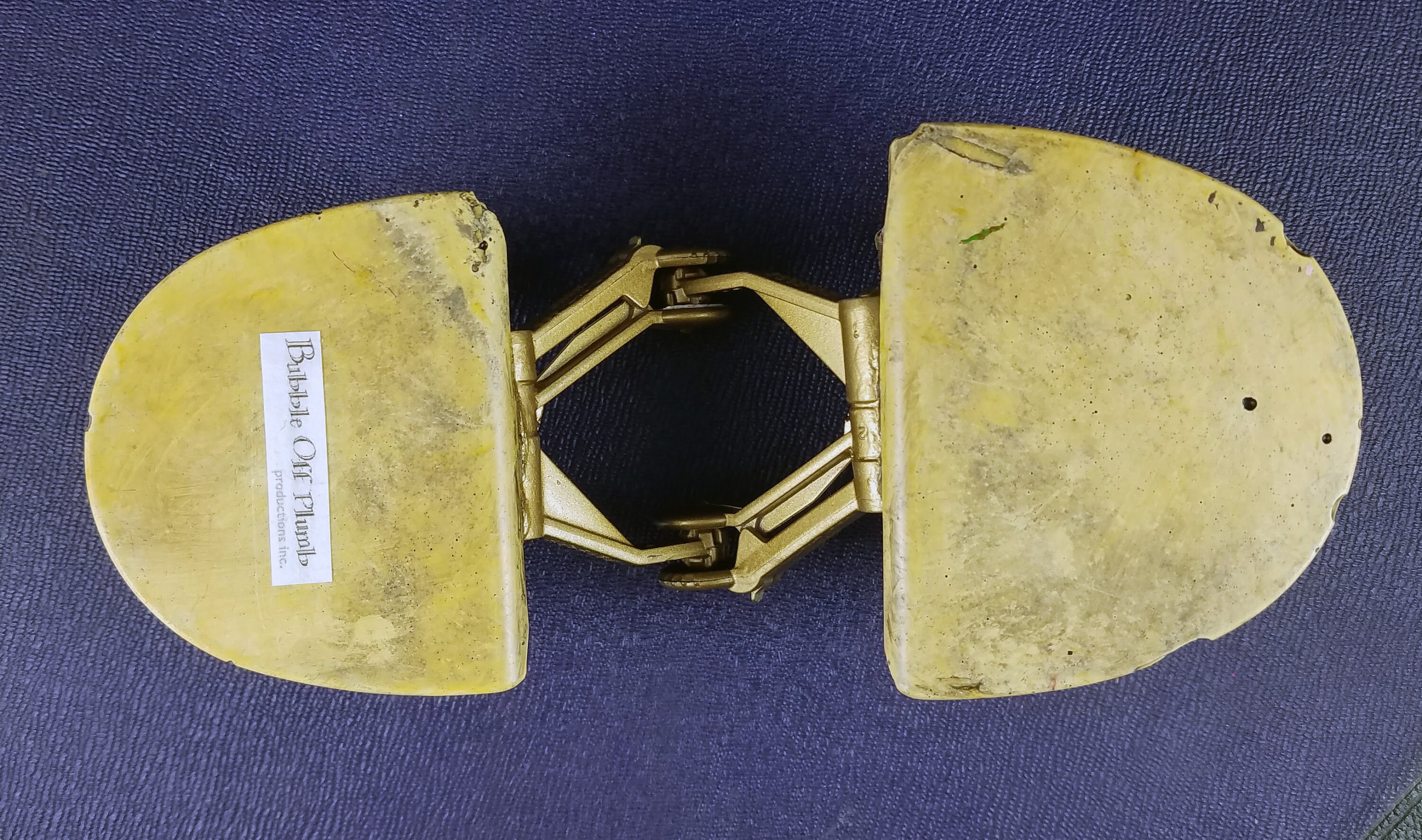 Zombie Dentition Specimen Zombie Teeth Zombie Taxidermy - Etsy