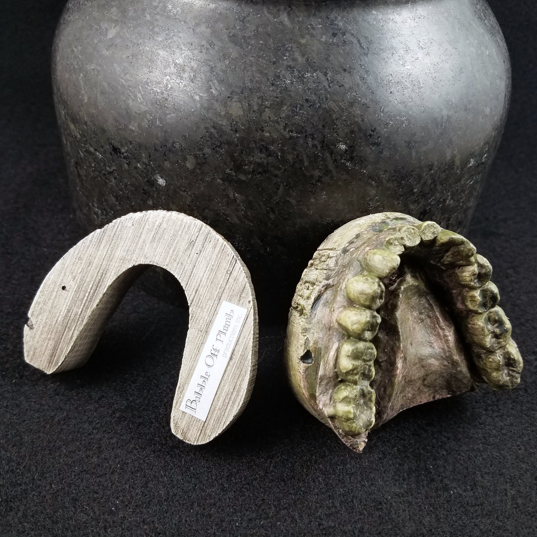 Zombie Dentition Specimen - Zombie Teeth - Zombie Taxidermy - Faux ...