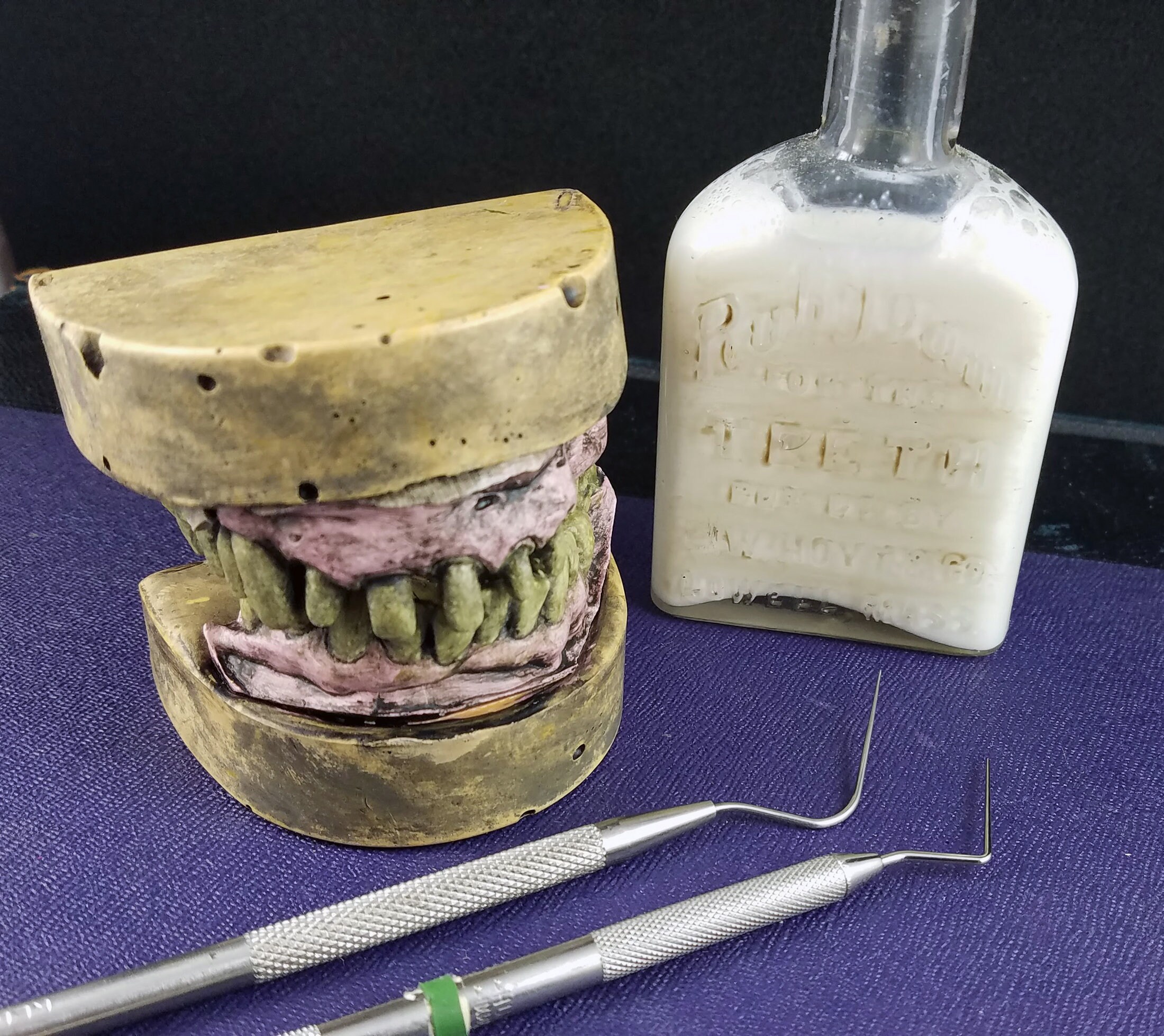 Zombie Dentition Specimen Zombie Teeth Zombie Taxidermy - Etsy
