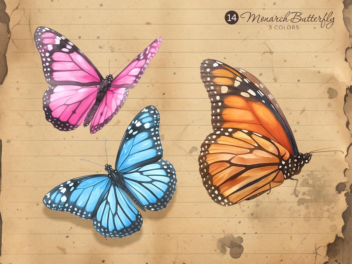 Monarch Butterfly Clipart Bundle, Watercolor Butterflies, Digital ...