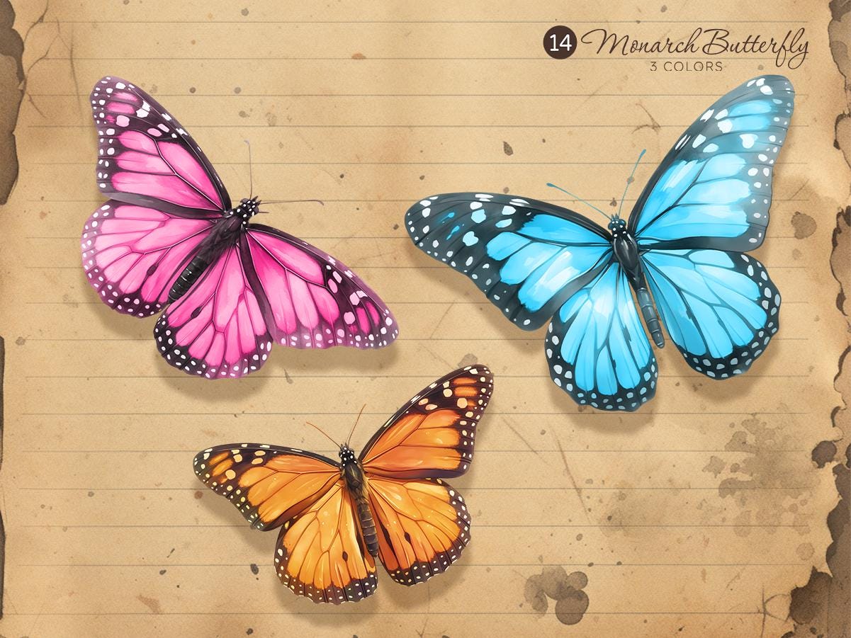 Monarch Butterfly Clipart Bundle, Watercolor Butterflies, Digital ...