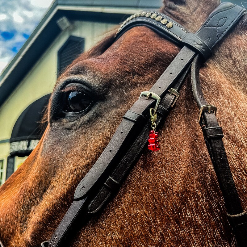 Bridle Charm for Horses - Etsy