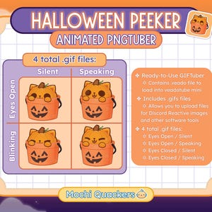 ANIMATED Halloween Pngtuber | Pumpkin Cat PNG Tuber | Ready-to-use ...