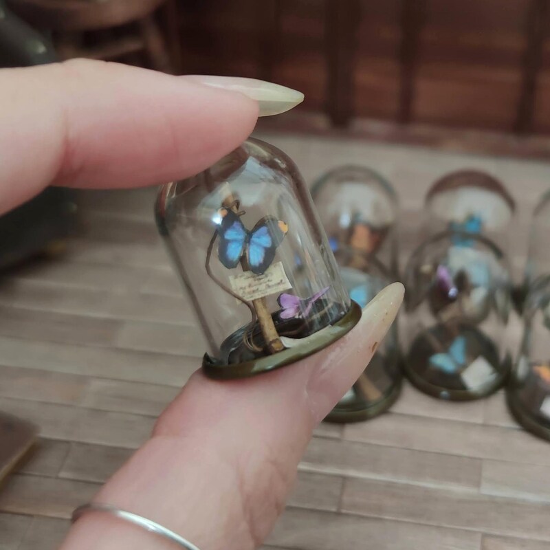 Miniature Butterfly - Etsy