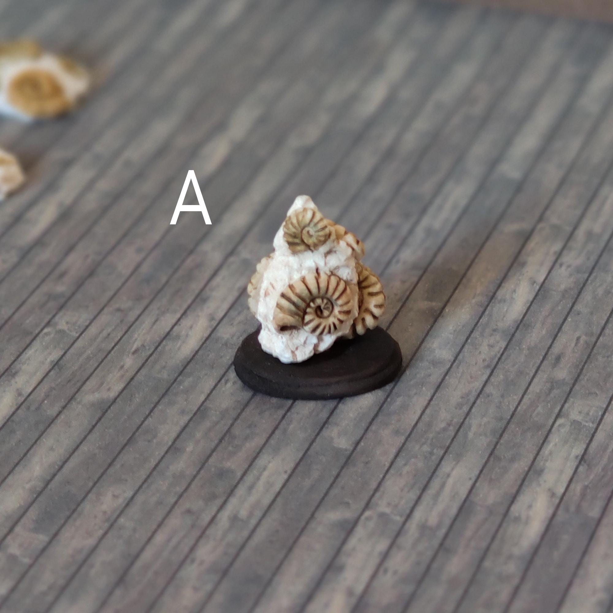 Miniature Find Fossil, 1/12 Miniature, Miniature Archeology, Miniature ...