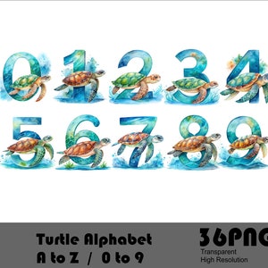 Turtles Alphabet PNG Watercolor Ocean Design Font Caretta Alphabet ...