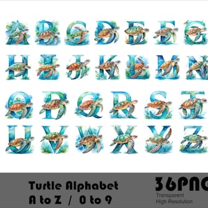 Turtles Alphabet PNG Watercolor Ocean Design Font Caretta Alphabet ...