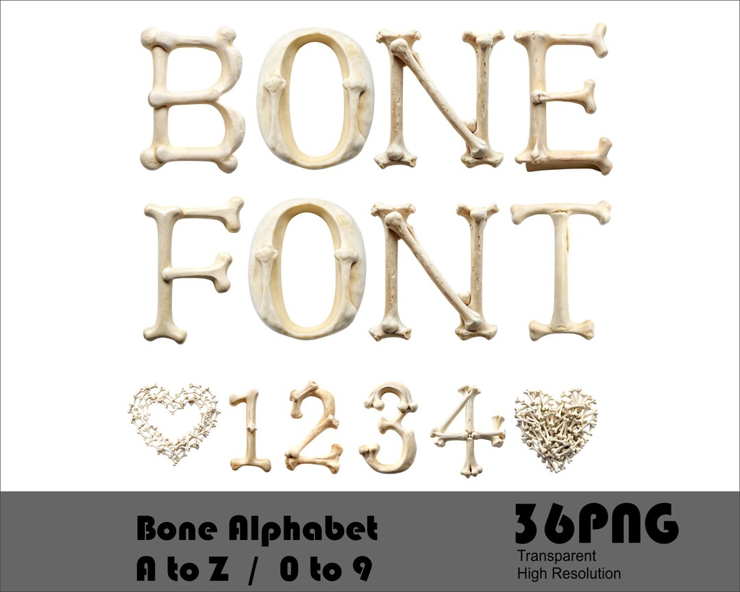 Bone Alphabet and Numbers PNG File 3d Font PNG Spooky Halloween Letters ...
