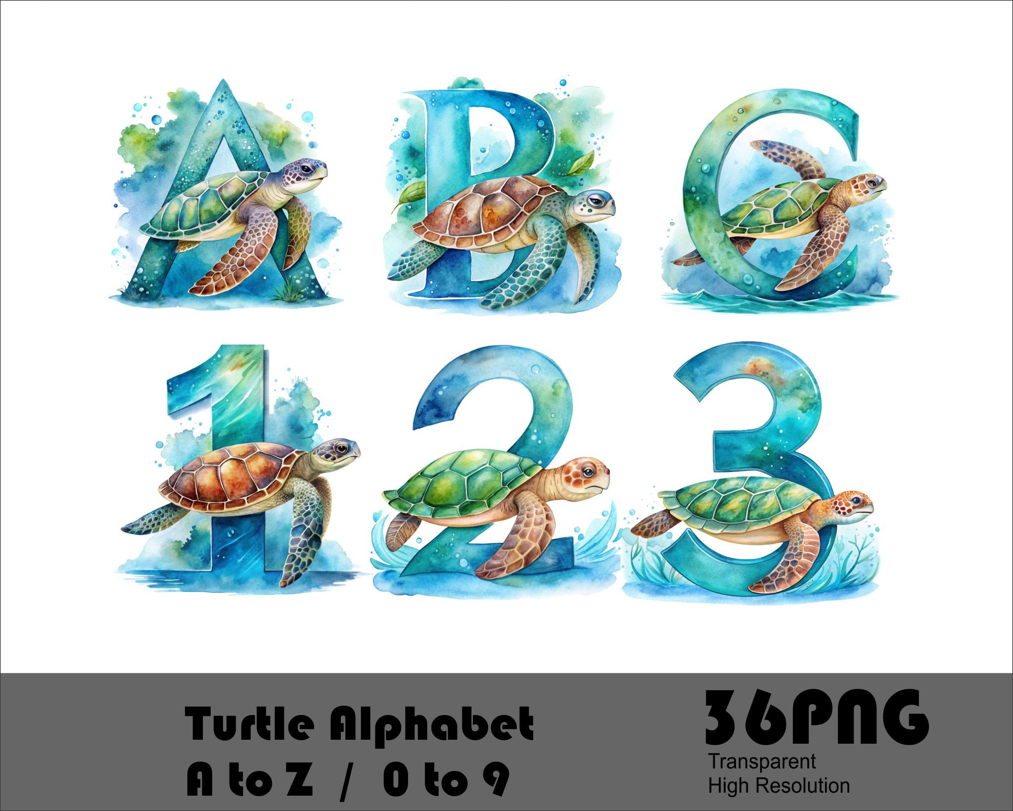Turtles Alphabet PNG Watercolor Ocean Design Font Caretta Alphabet ...